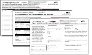 OSHA.com | CAL OSHA 300 Forms - Fill & Save PDF
